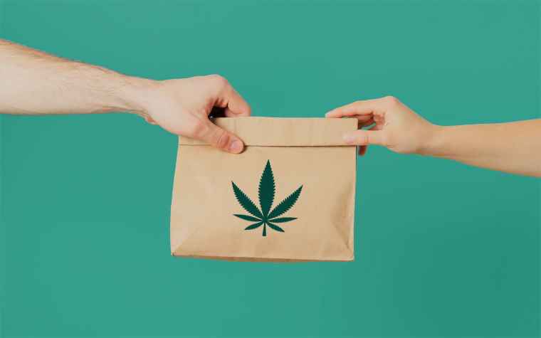 Best Weed Delivery in Toronto: here are 5 services to trust! Best Weed Delivery in Toronto: here are 5 services to trust!